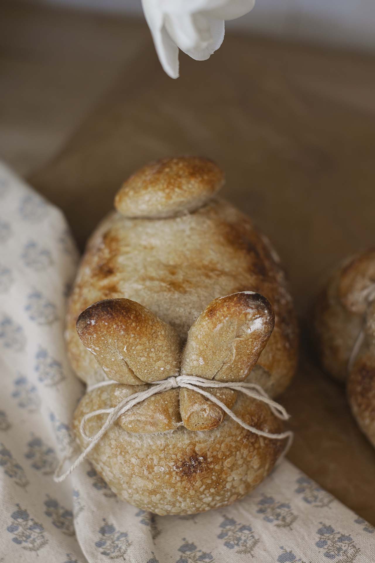 Rustic Whole Wheat Sourdough Bunny Loaves